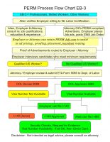 Home - Immigration Reform News